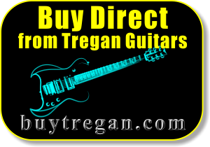 Shaman Bass Specs – Tregan Guitars